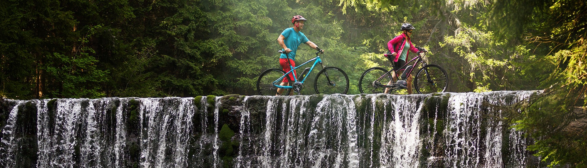 Yellow Point - sportovní a vzdělávací agentura - Yellow Point