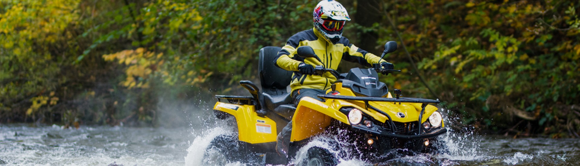 Yellow Point - sportovní a vzdělávací agentura - Yellow Point