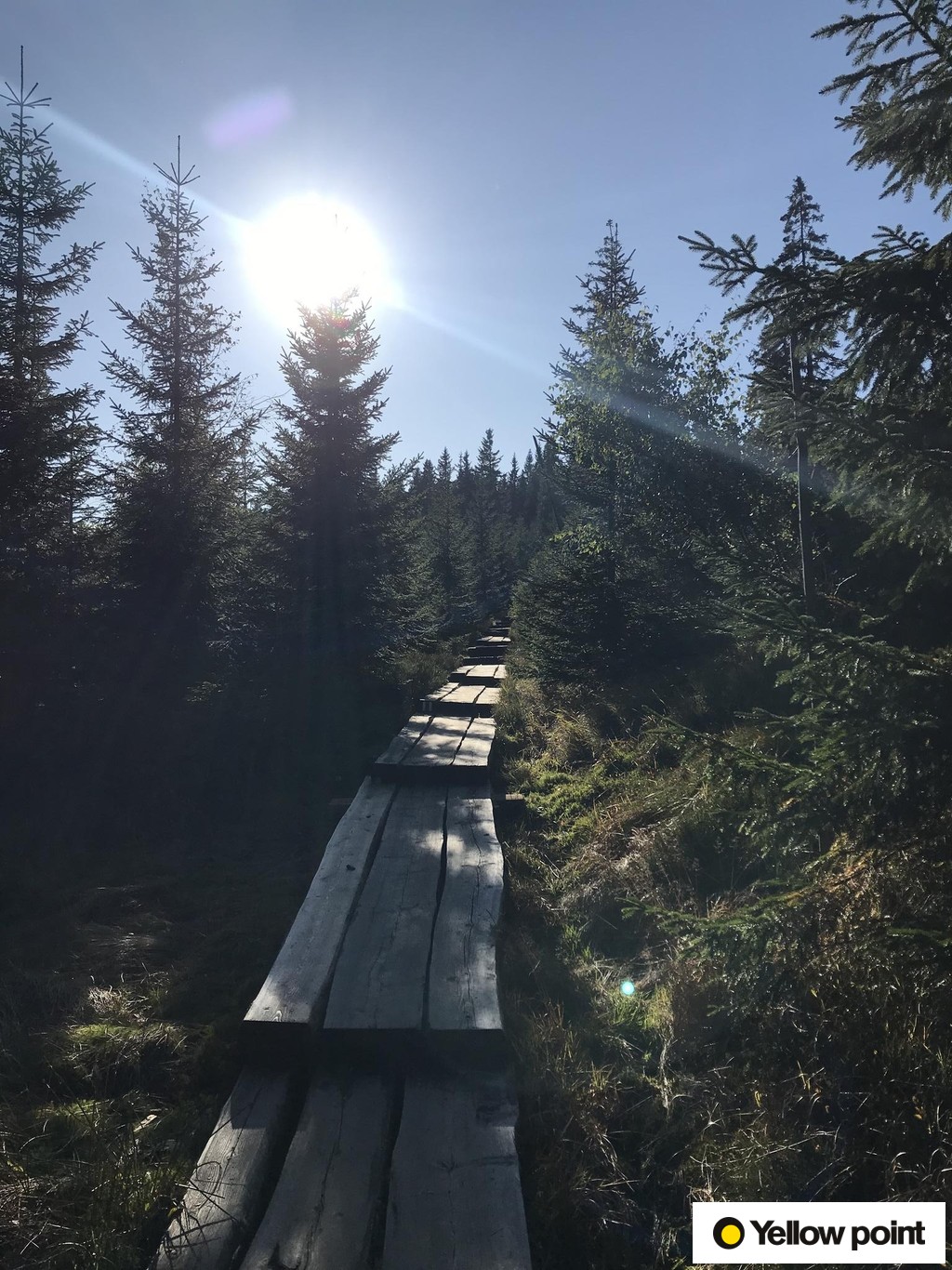 Turistika - Yellow Point