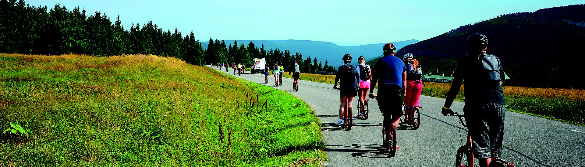 Yellow Point - sportovní a vzdělávací agentura - Yellow Point